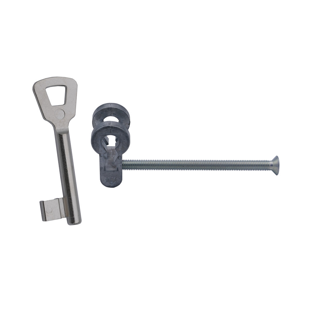 BB-Einsatz für PZ-Einsteckschlösser mit 1 Schlüssel (70mm lang) und ...